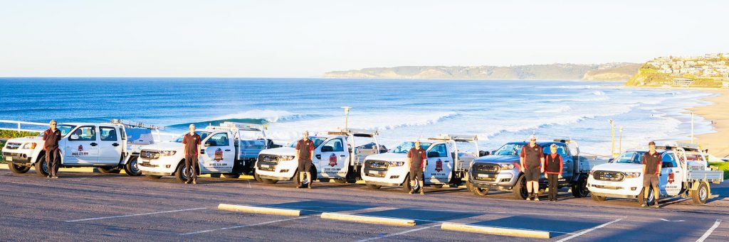 Pest Control Newcastle & Termite Inspection - Newcastle Kill A Pest